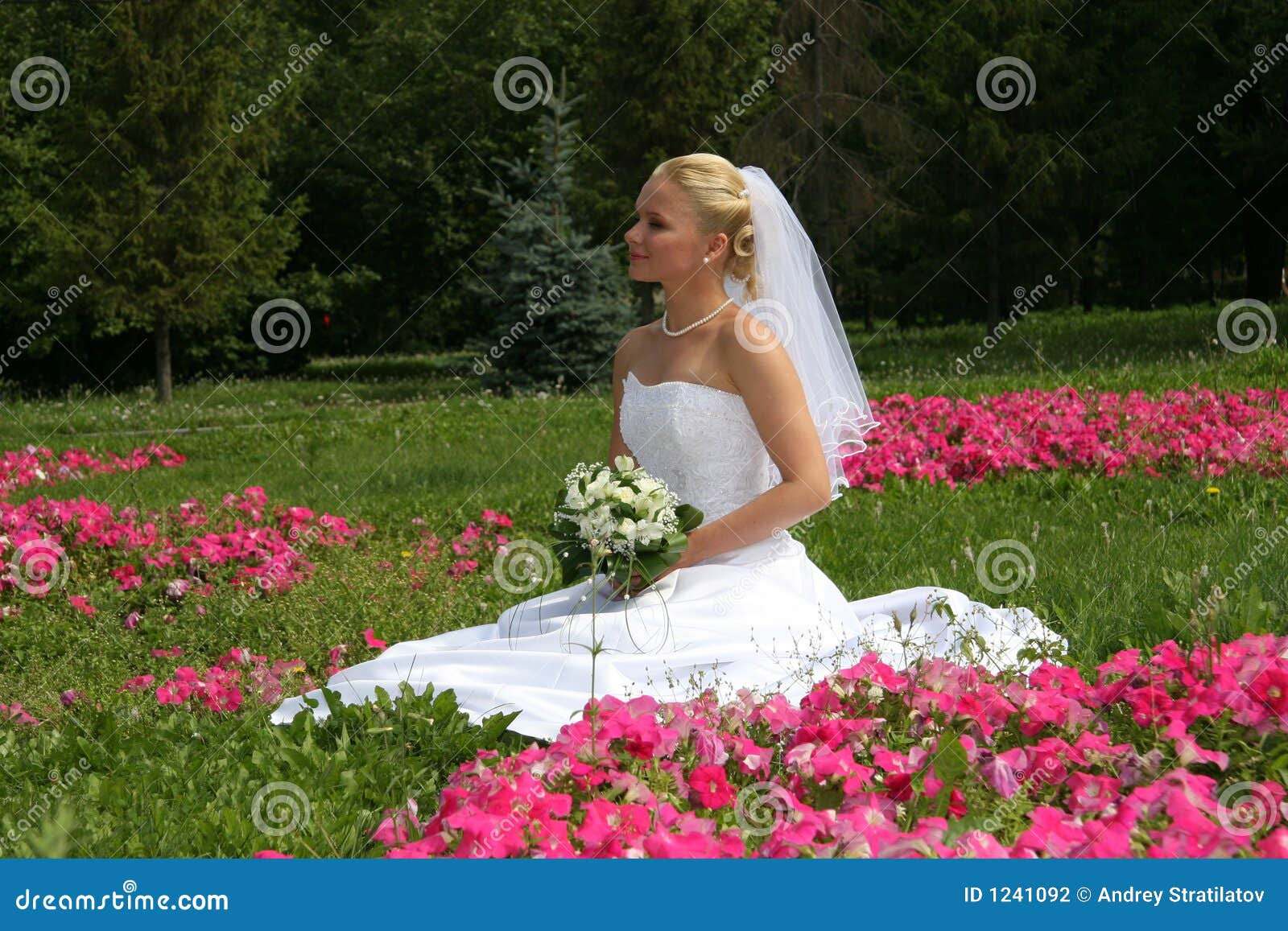 Pretty bride stock photo. Image of grassplot, nuptials - 1241092