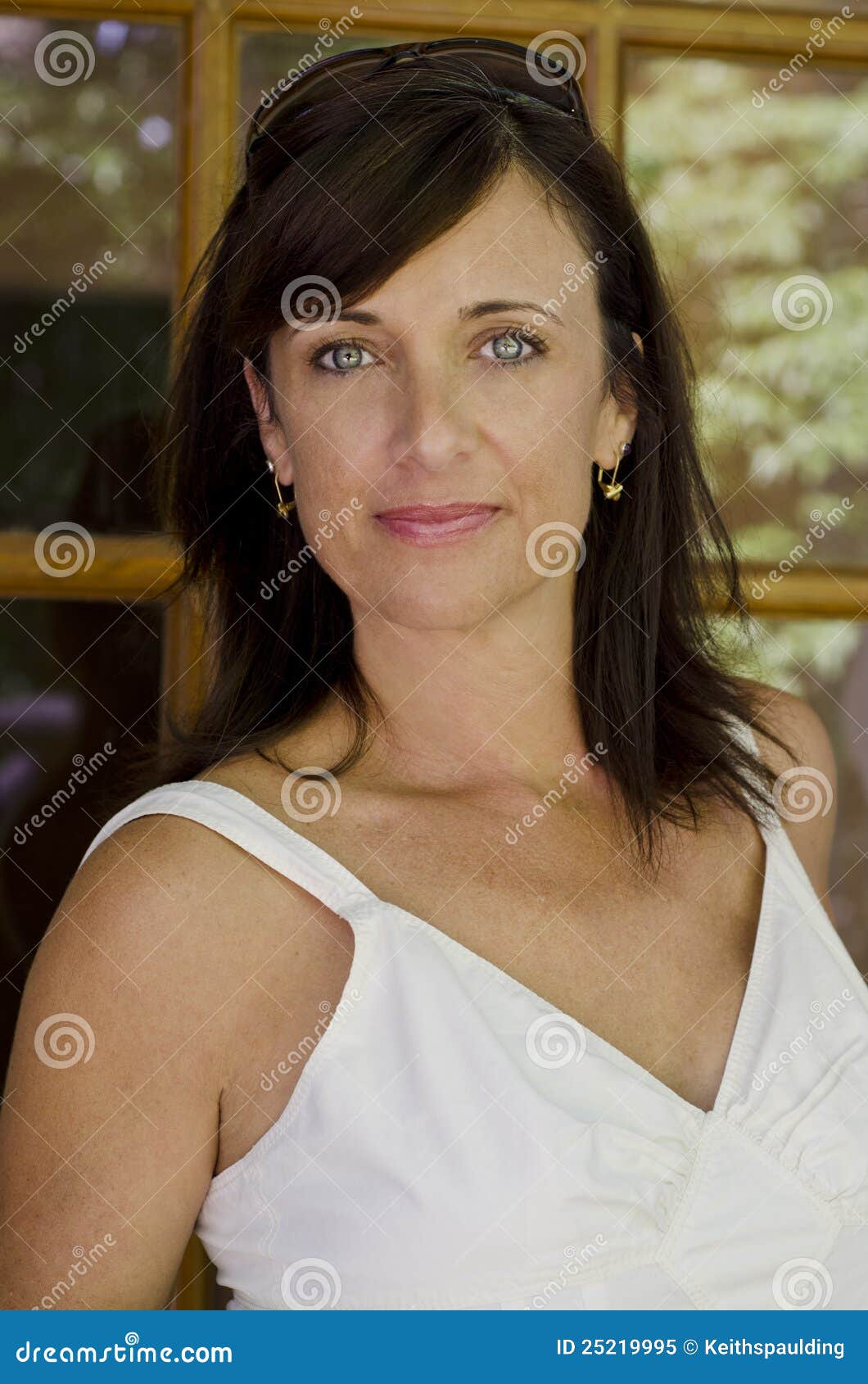 Pretty Brunette stock image. Image of person, elegant - 25219995