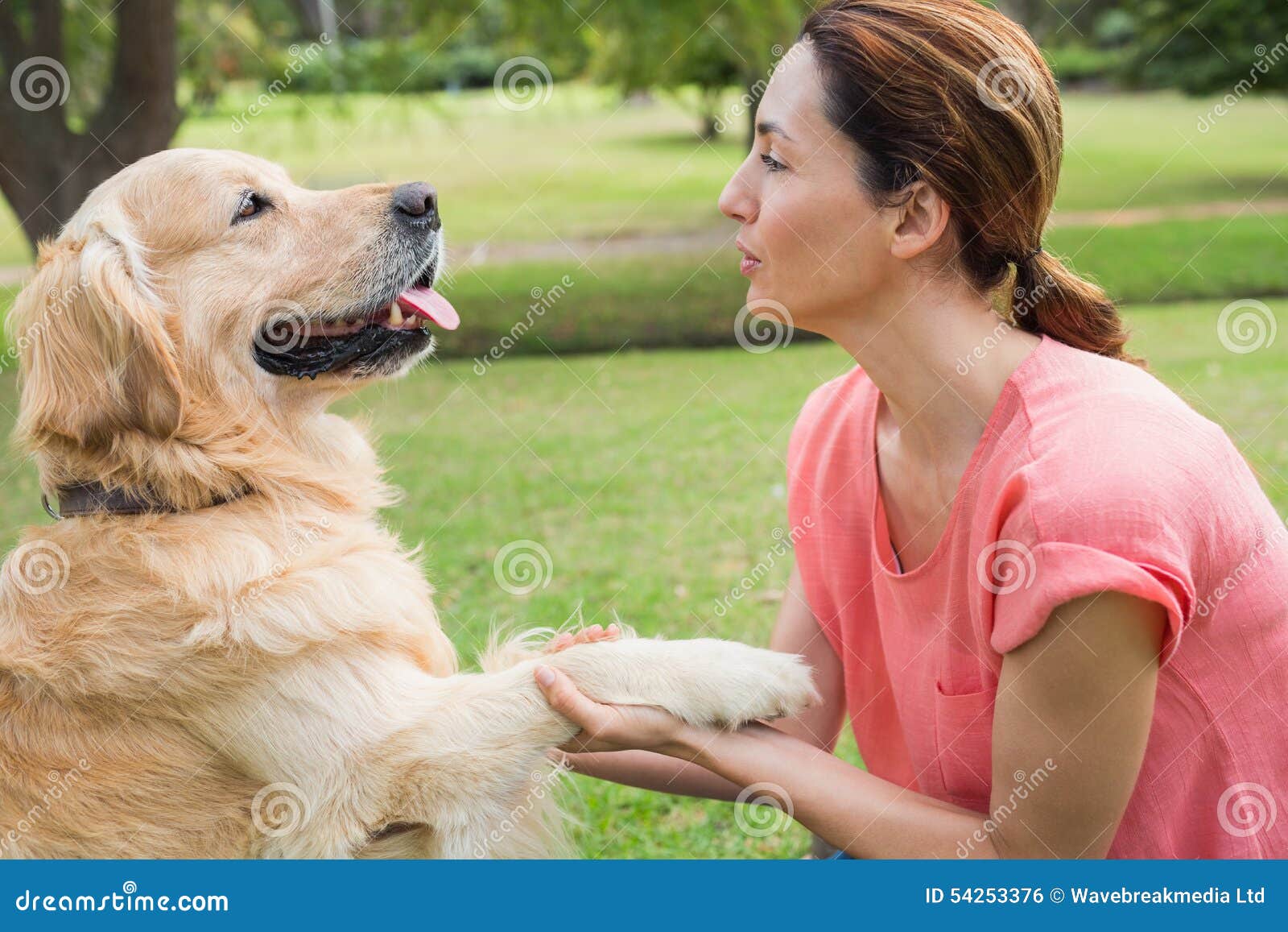 Pretty Brunette Playing with Her Dog in the Park Stock Photo - Image of ...