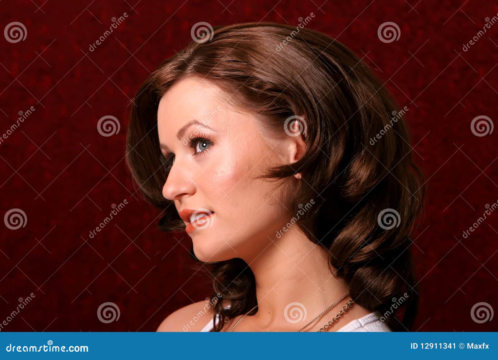 Pretty brunette woman stock image. Image of gorgeous - 12911341