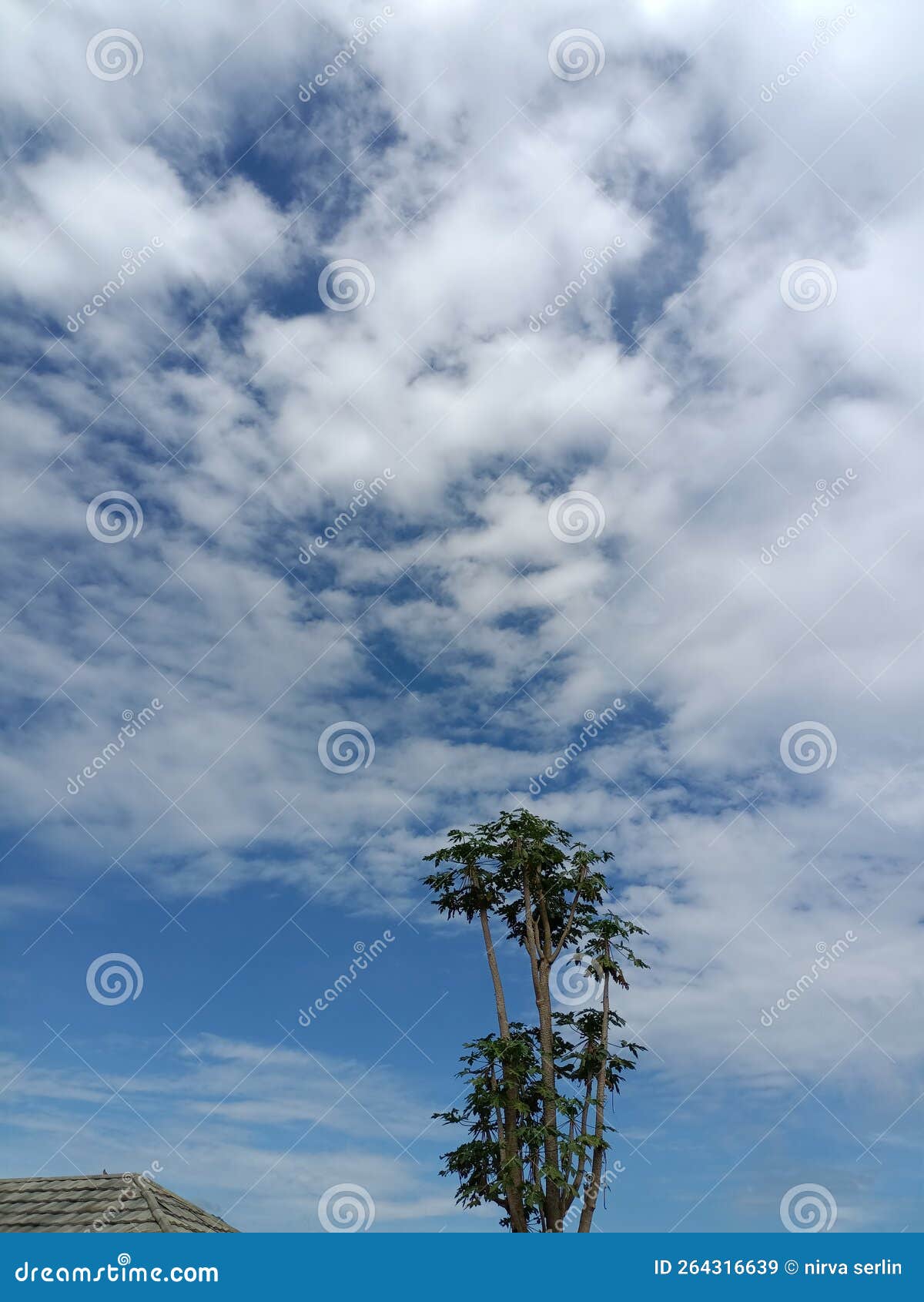 Pretty view in the day stock image. Image of nice, cloud - 264316639