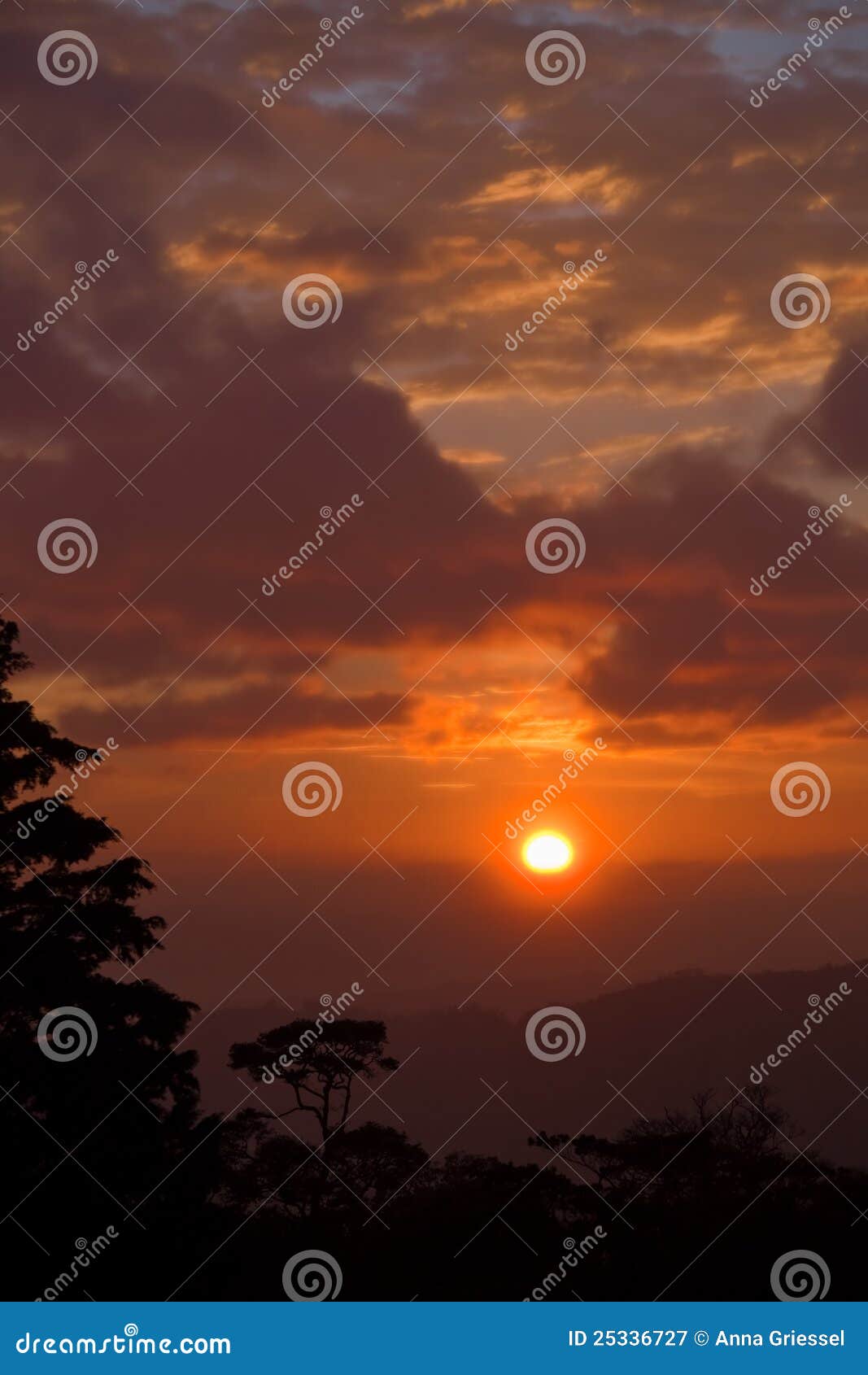 41,699 Pretty Cloud Stock Photos - Free & Royalty-Free Stock Photos ...