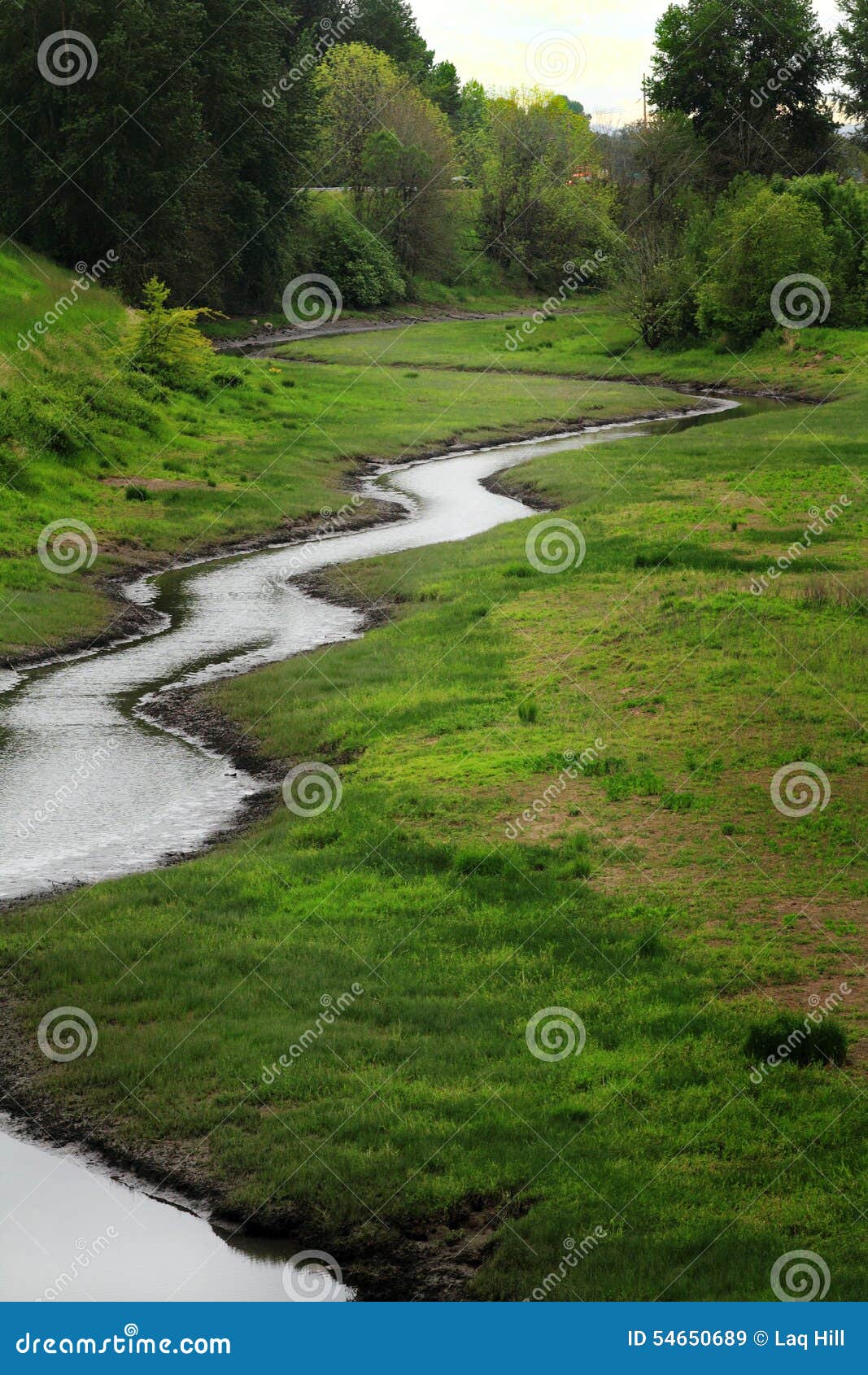 Pretty Curvy Creek stock image. Image of refuge, green - 54650689