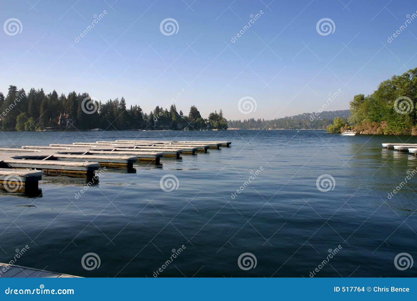 Pretty Dock stock photo. Image of ecology, clean, nature - 517764