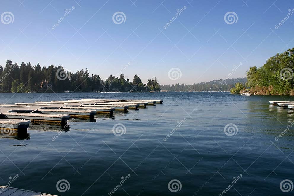 Pretty Dock stock photo. Image of ecology, clean, nature - 517764