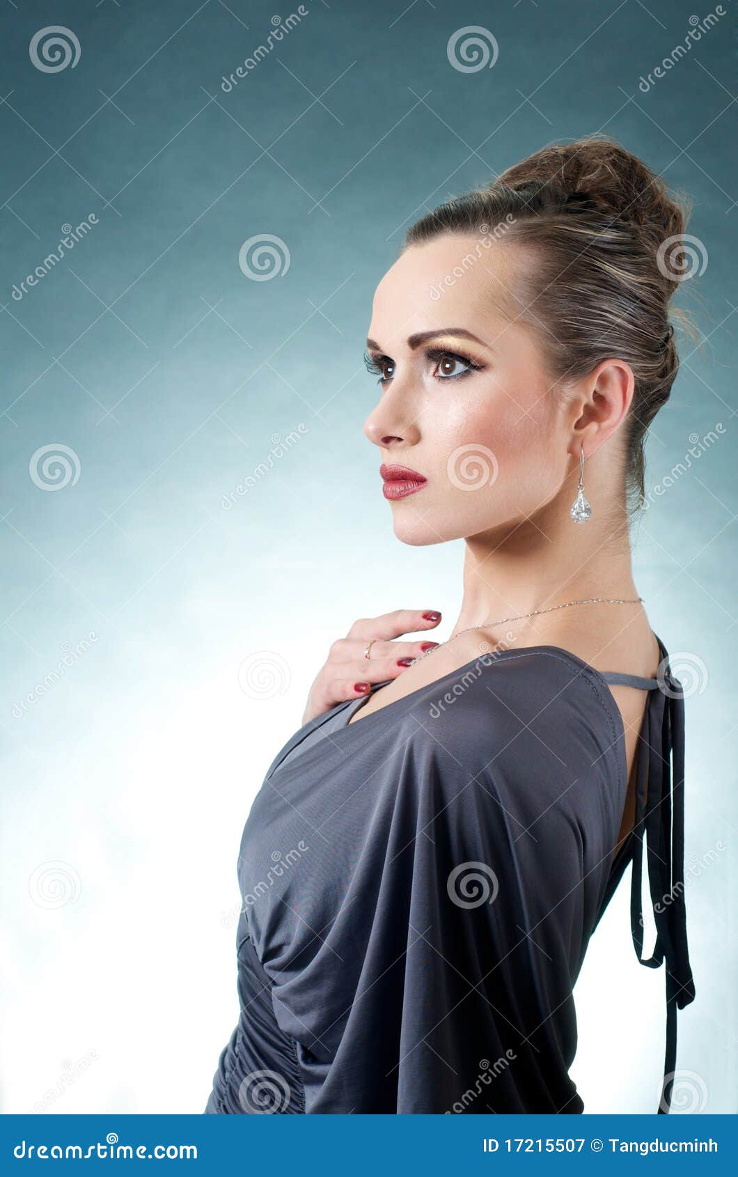 Pretty elegant model stock image. Image of pose, female - 17215507