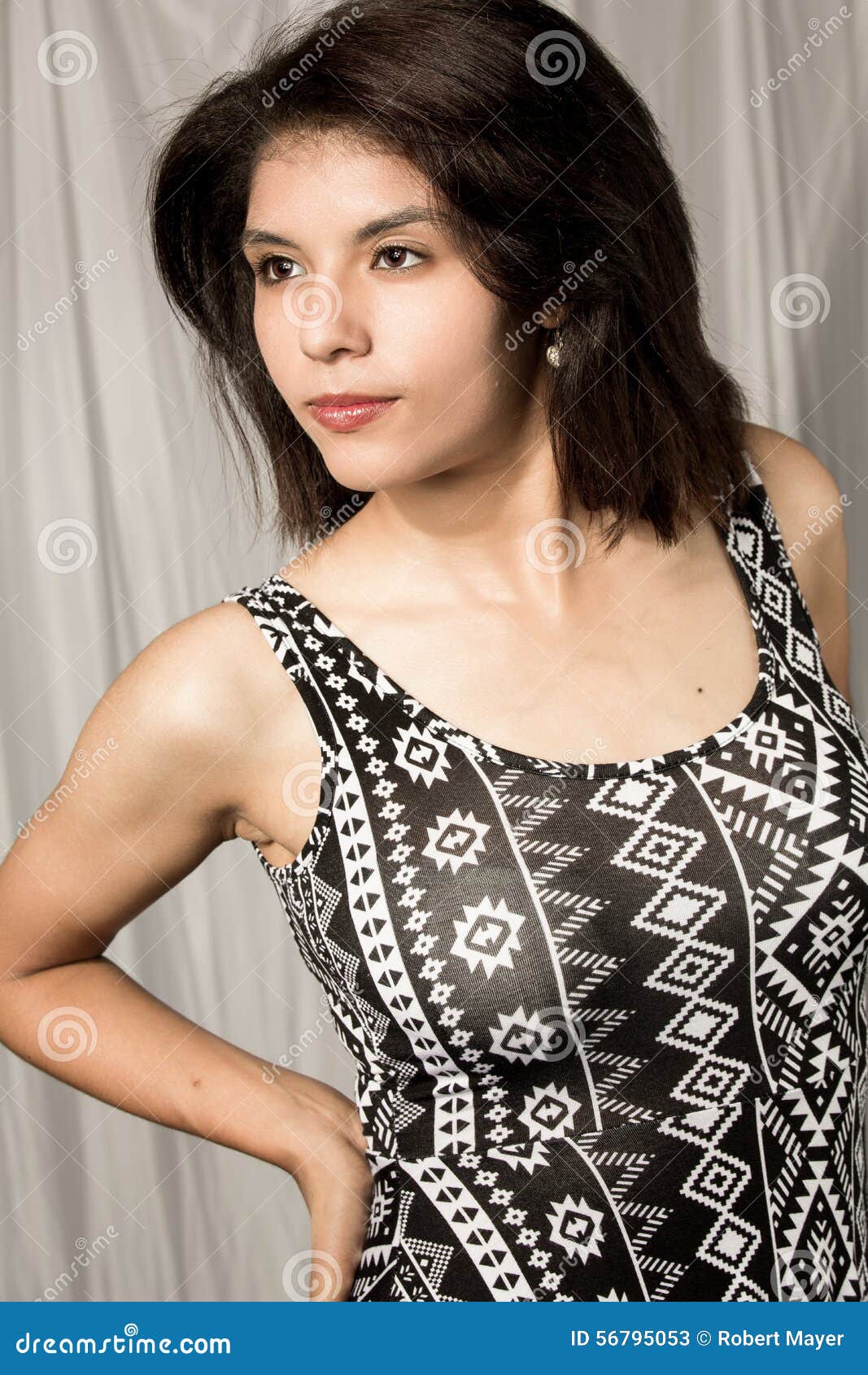 Pretty Ethnic Young Woman Posing Stock Image - Image of dress, african ...