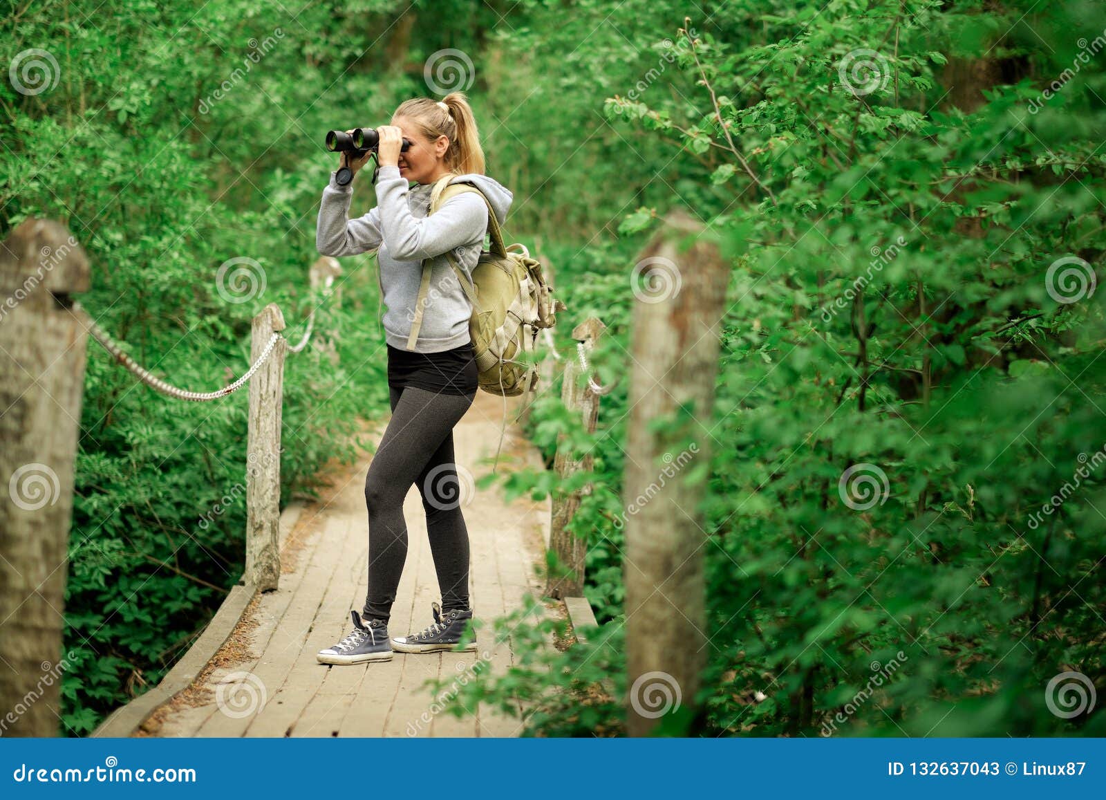 Pretty Explorer Woman with Binoculars Stock Image - Image of ...