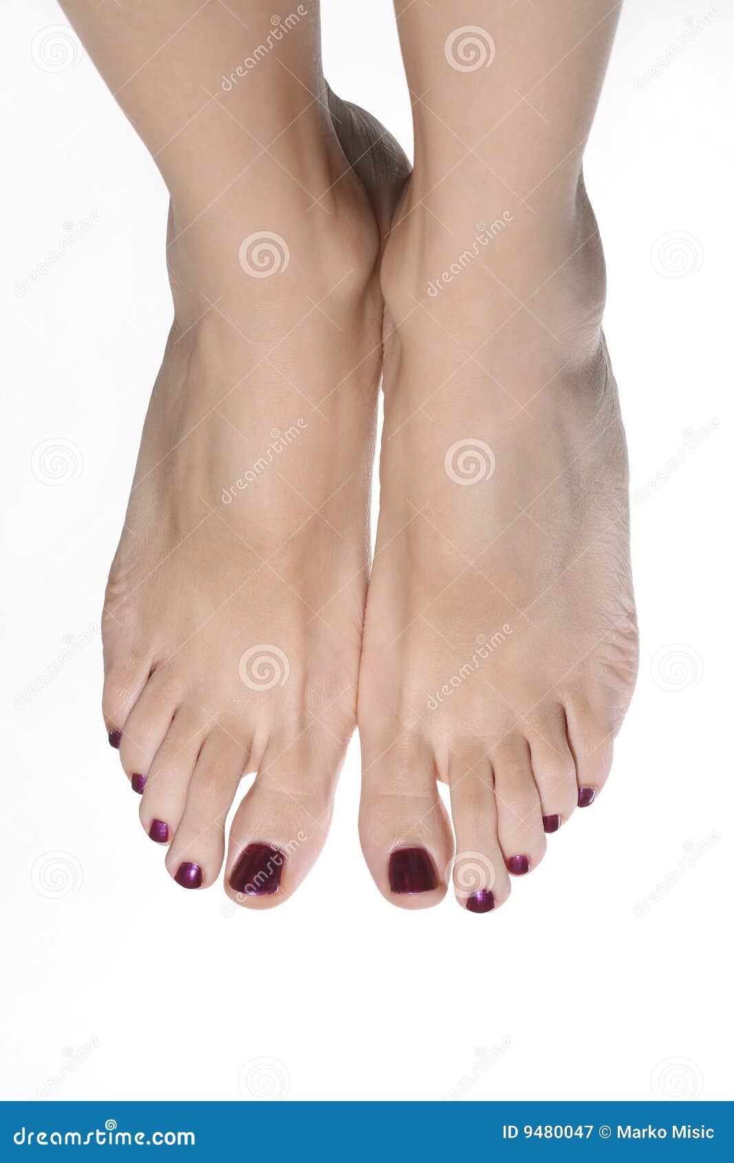 Pretty female legs stock image. Image of fingers, foot - 9480047