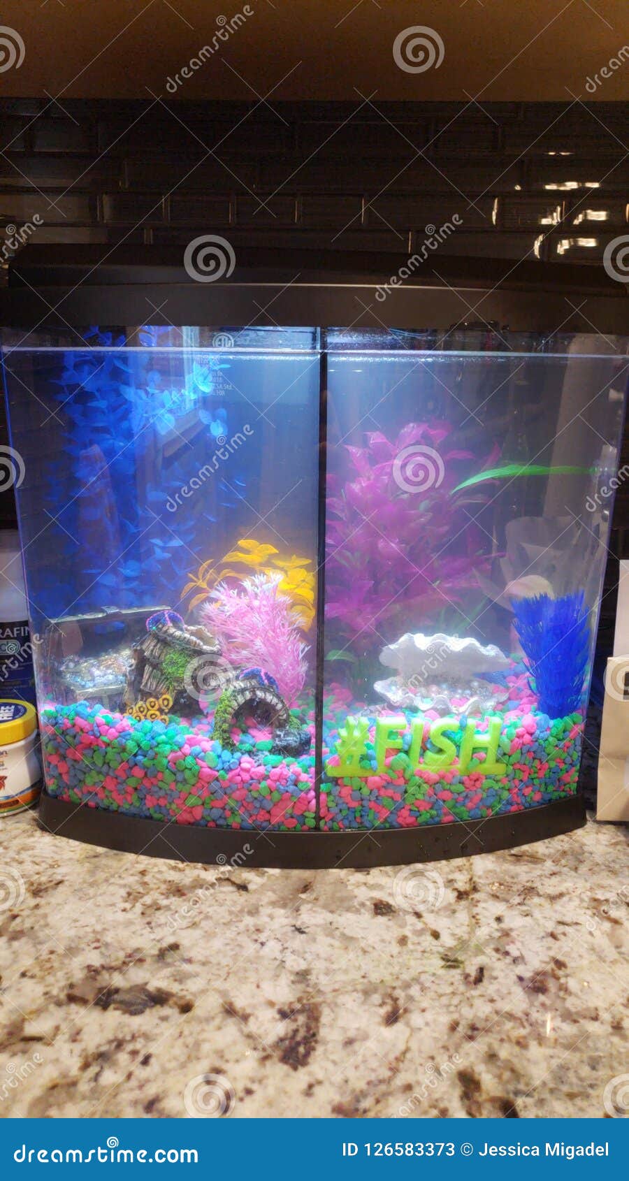 Pretty fish tank stock image. Image of fish, tank, pretty - 126583373