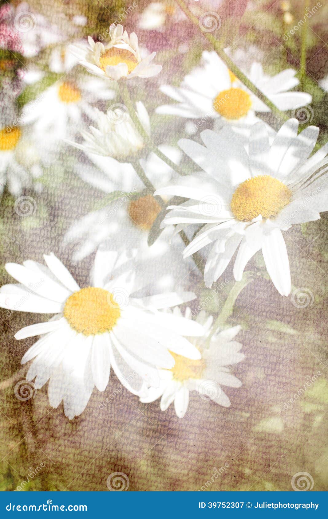 Pretty Floral, Textured Background Stock Image - Image of bloom ...
