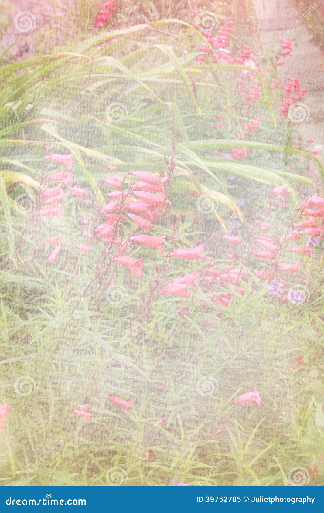 Pretty Floral, Textured Background Stock Image - Image of pollen ...