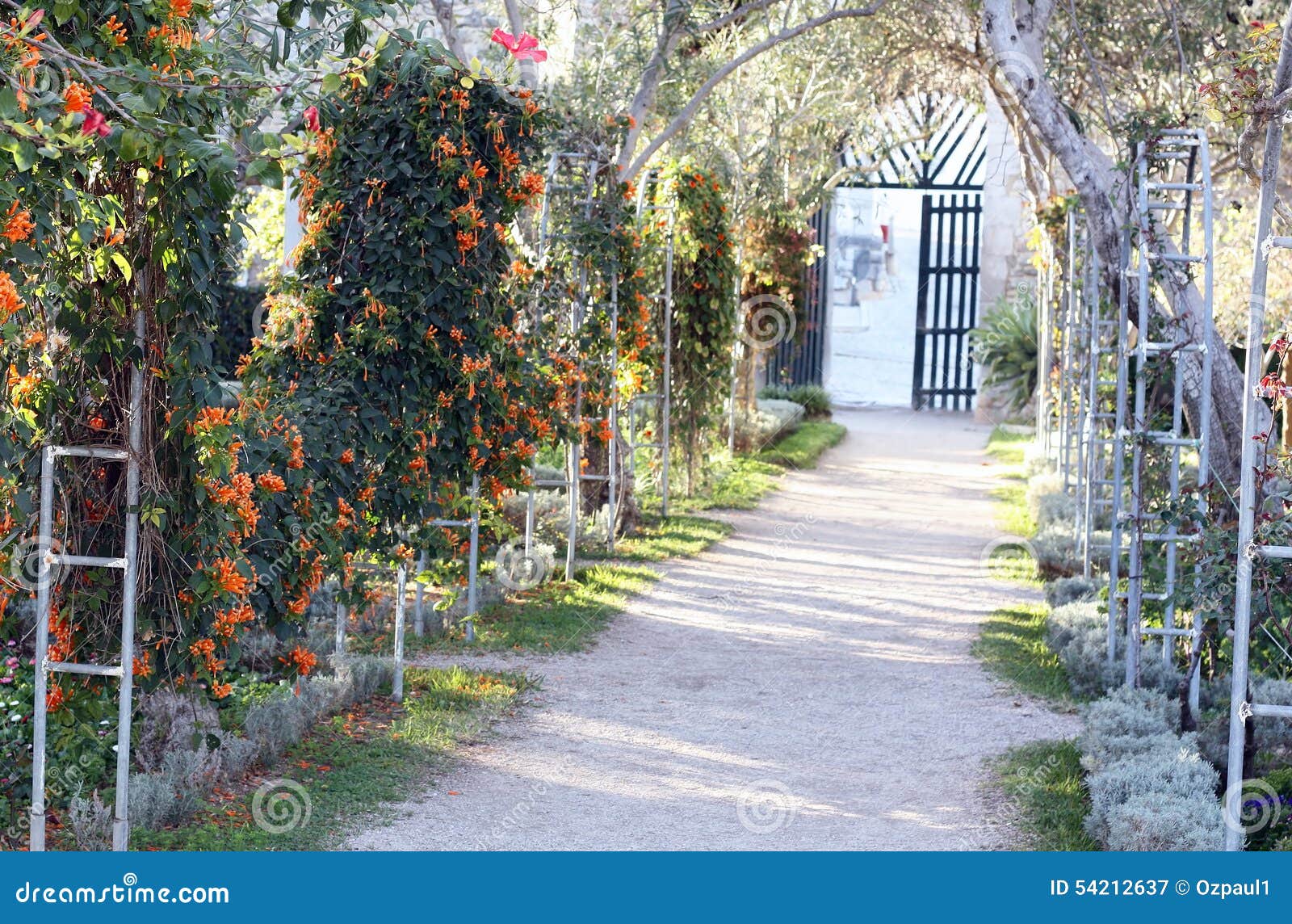 Pretty garden walkway stock image. Image of garden, line - 54212637