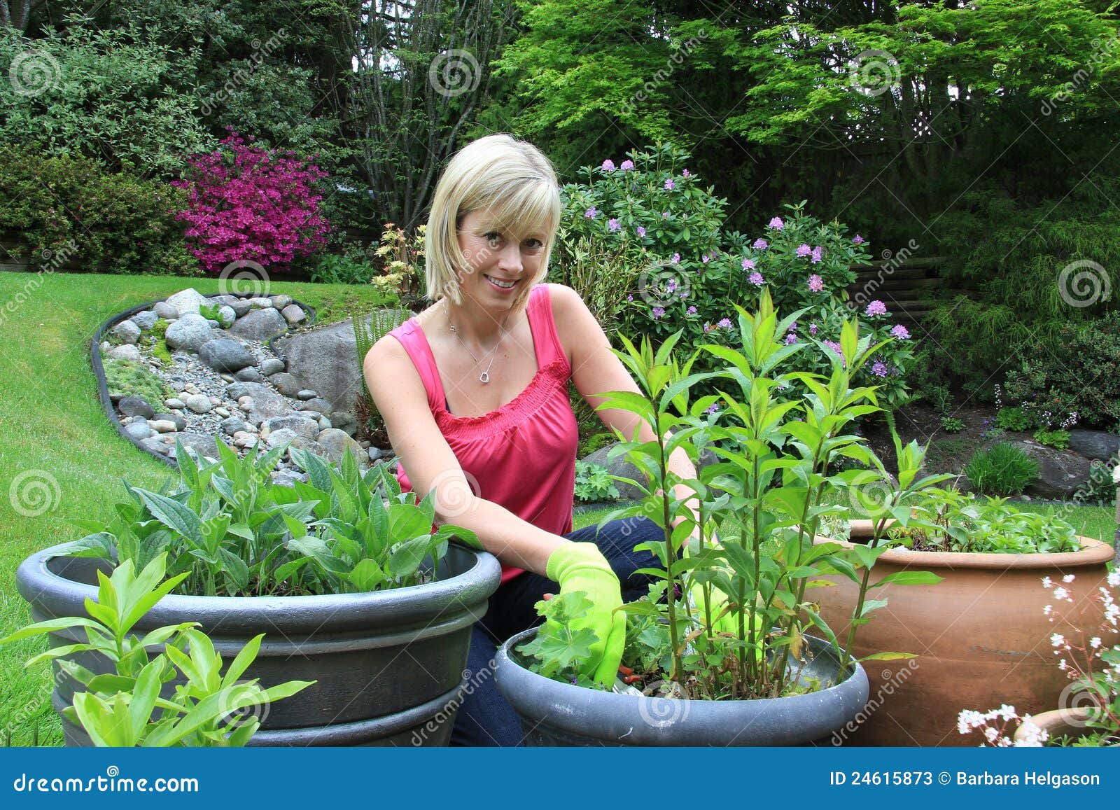 Pretty gardener stock image. Image of planter, female - 24615873