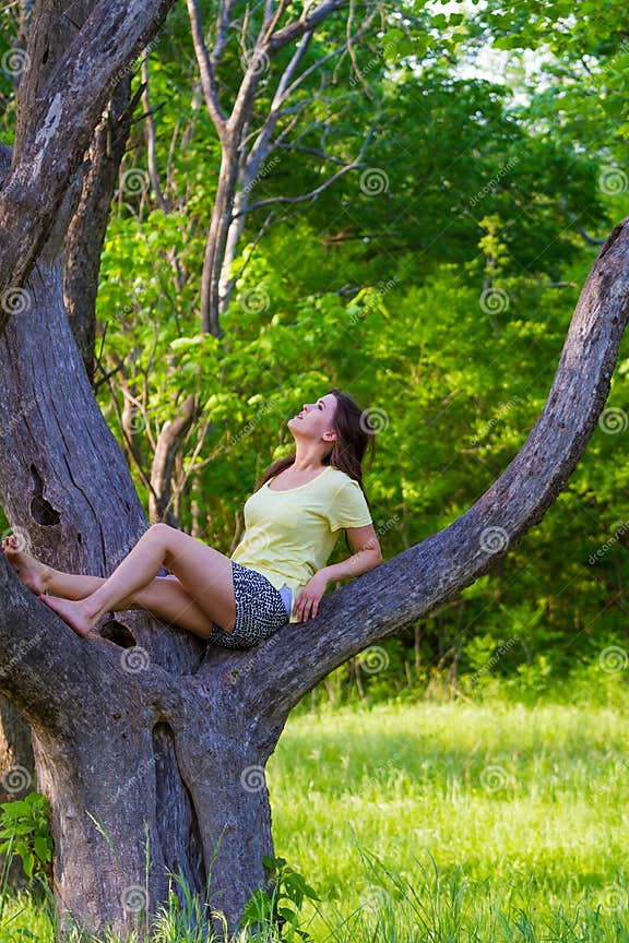 Pretty Girl Climbing Tree Stock Image Image Of Pretty 66627357