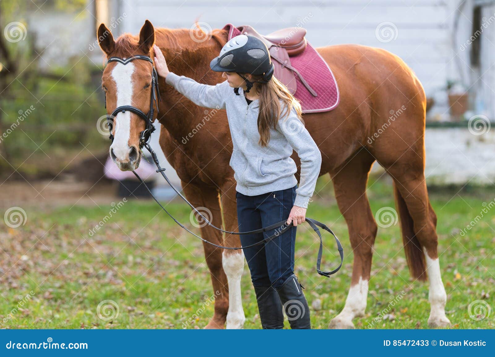 Pretty girl with horse stock image. Image of rider, farm - 85472433