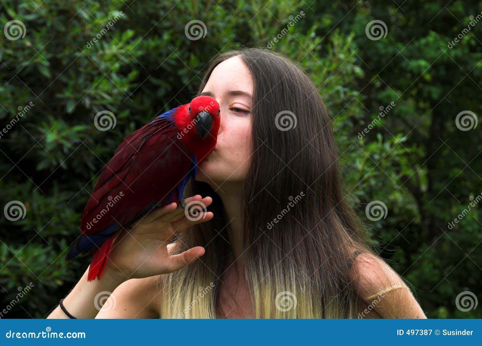 Pretty Girl Kissing a Parrot Stock Image - Image of affection, parrot ...