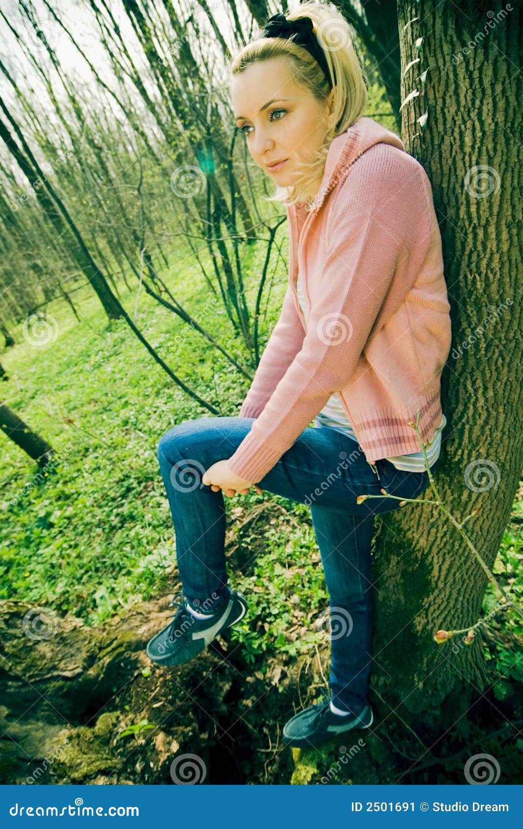 Pretty Girl Leaning on Tree Stock Image - Image of woods, trunk: 2501691