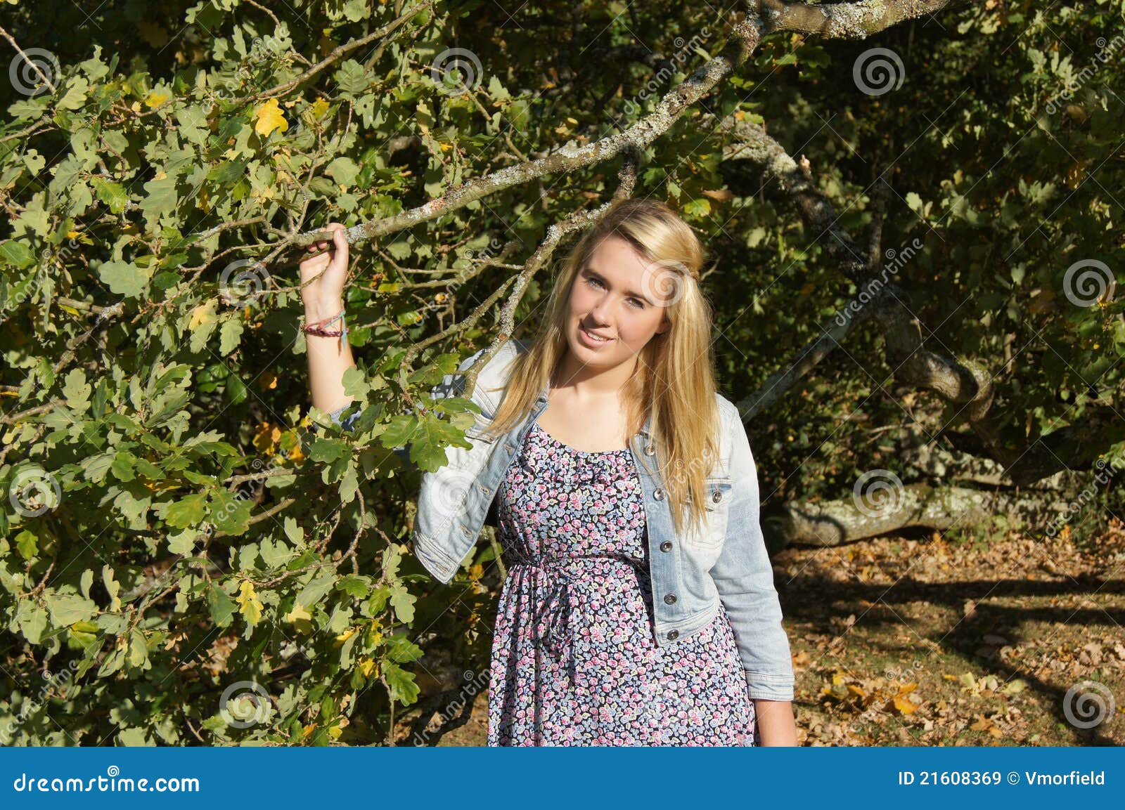 Pretty Girl Posing by Tree stock image. Image of smile - 21608369