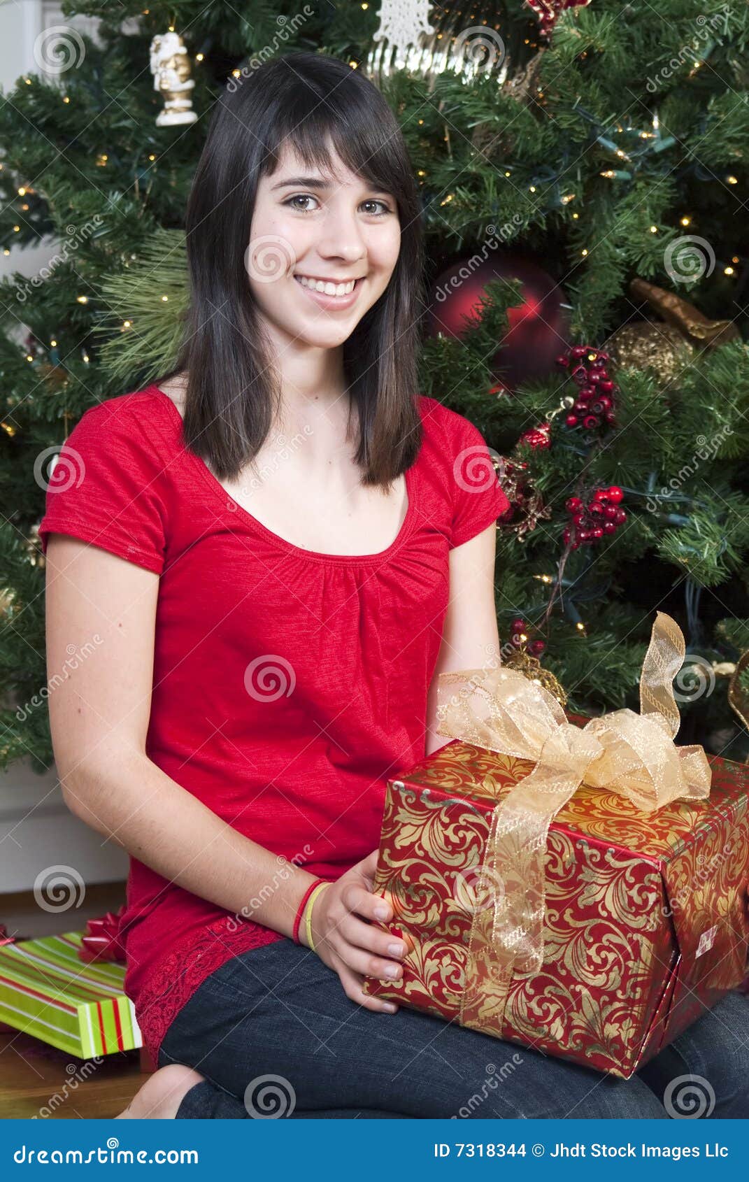 Pretty Girl with Present stock photo. Image of presents - 7318344