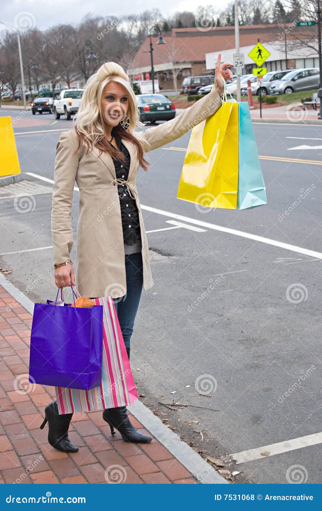 Pretty Girl Shopping stock photo. Image of lifestyle, economy - 7531068