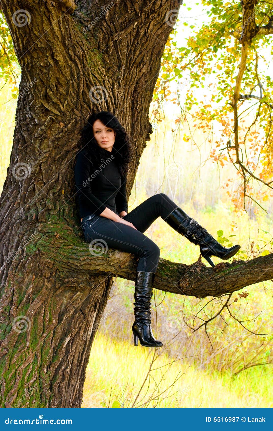 Pretty Girl Sitting on the Tree Stock Image - Image of caucasian ...