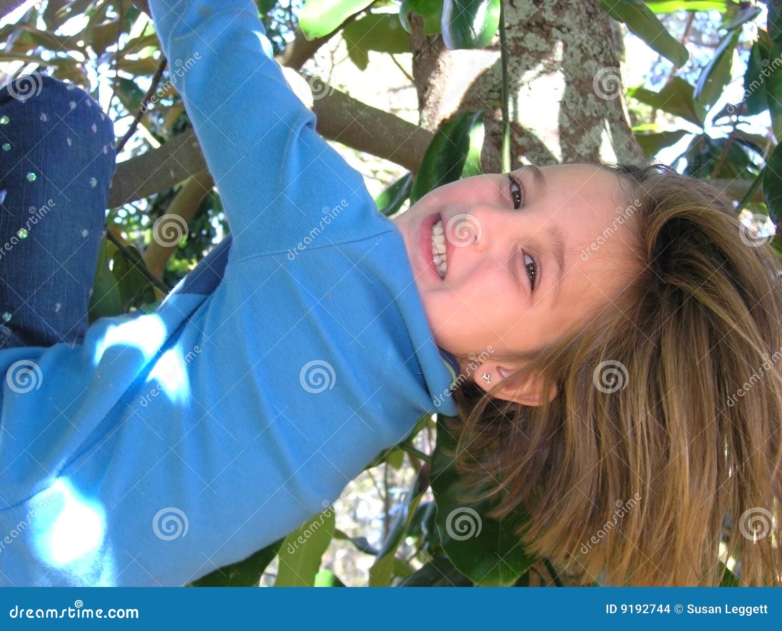 Pretty Girl in a Tree stock photo. Image of cute, limbs - 9192744