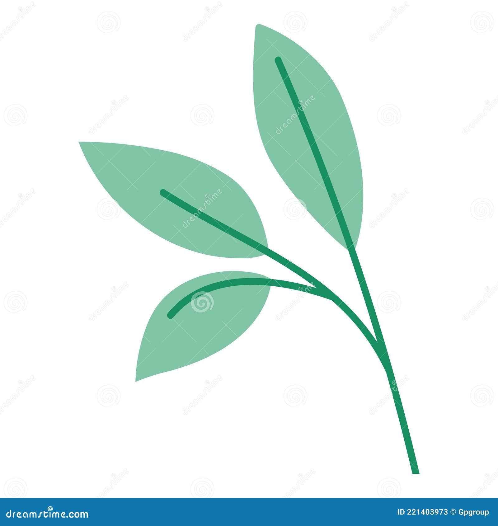 Pretty green leaves stock vector. Illustration of botany - 221403973
