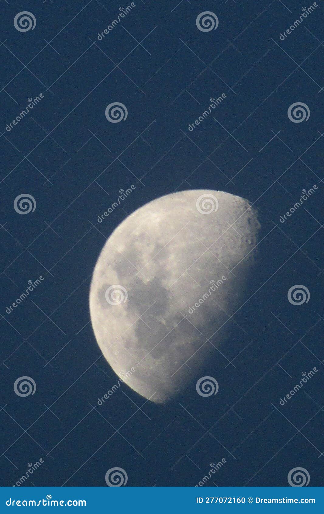 Pretty Half Moon stock photo. Image of pretty, focus - 277072160