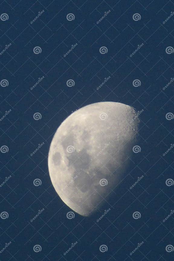 Pretty Half Moon stock photo. Image of pretty, focus - 277072160