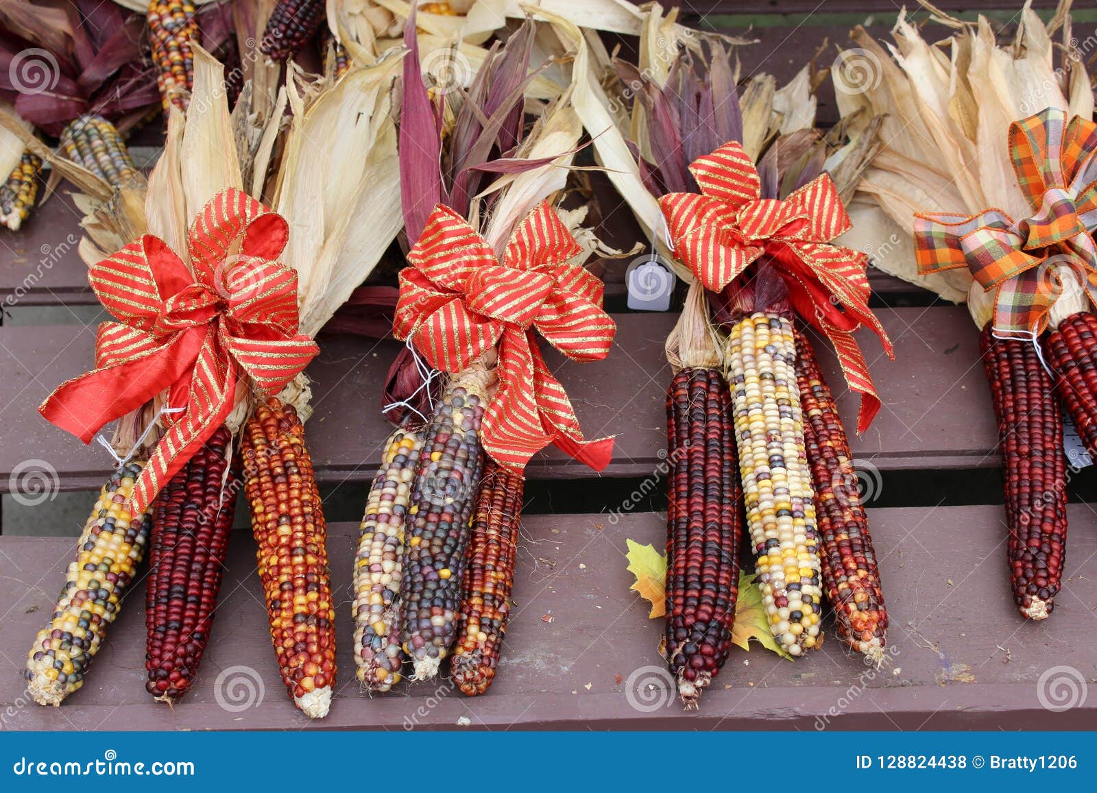 Inviting Image of Indian Corn Bunched Together and Tied with Bright ...