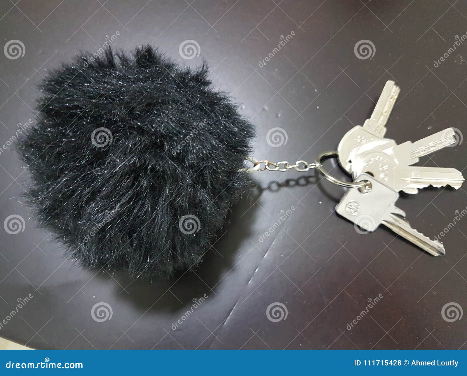 Key Medal stock photo. Image of medals, pretty, keys - 111715428