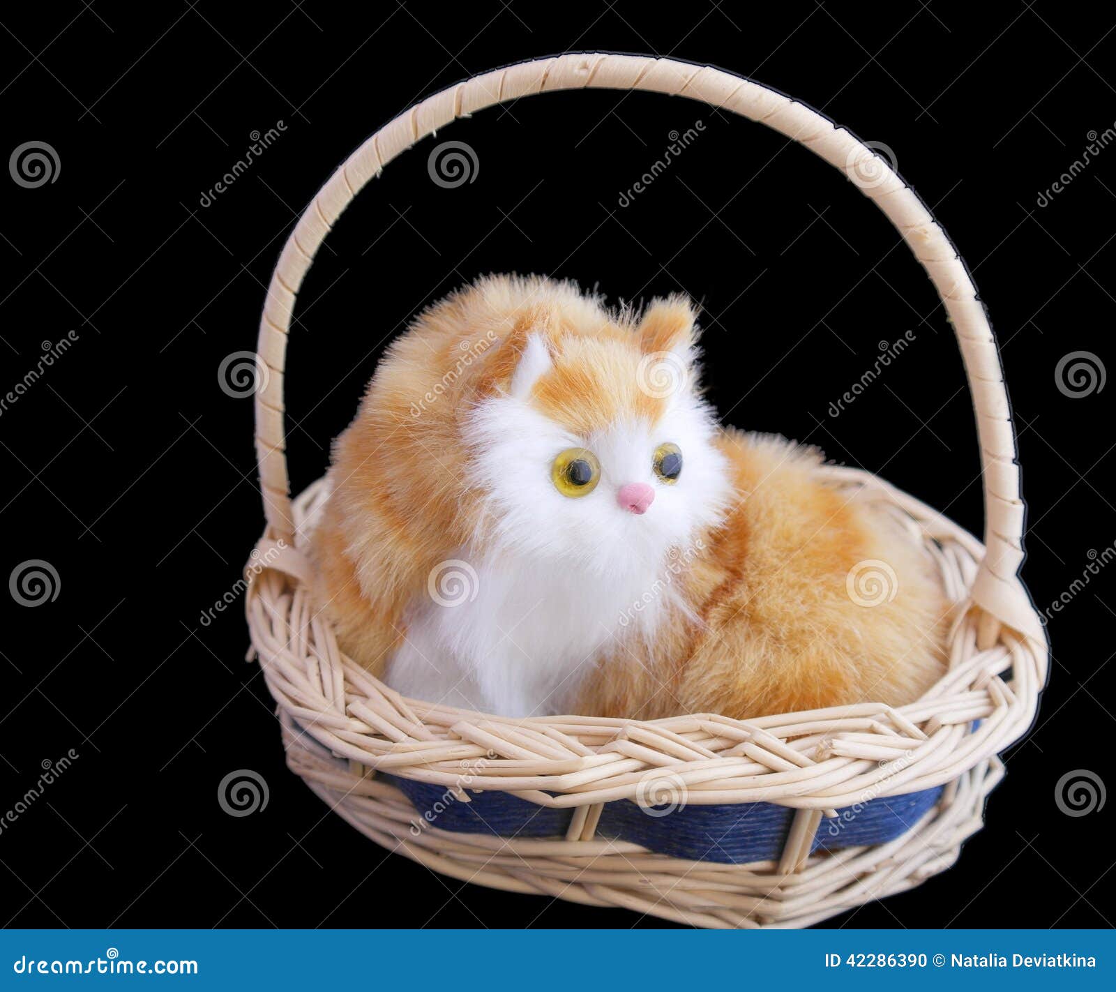 Pretty kitten in basket stock photo. Image of studio - 42286390