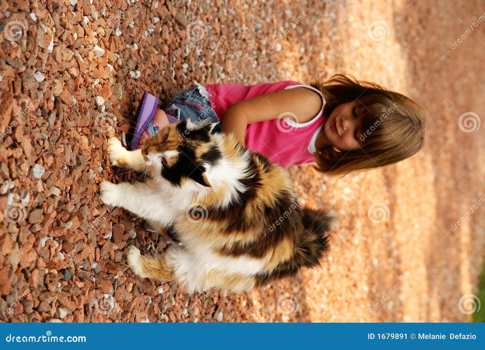 Pretty kitty stock image. Image of friendship, petting - 1679891