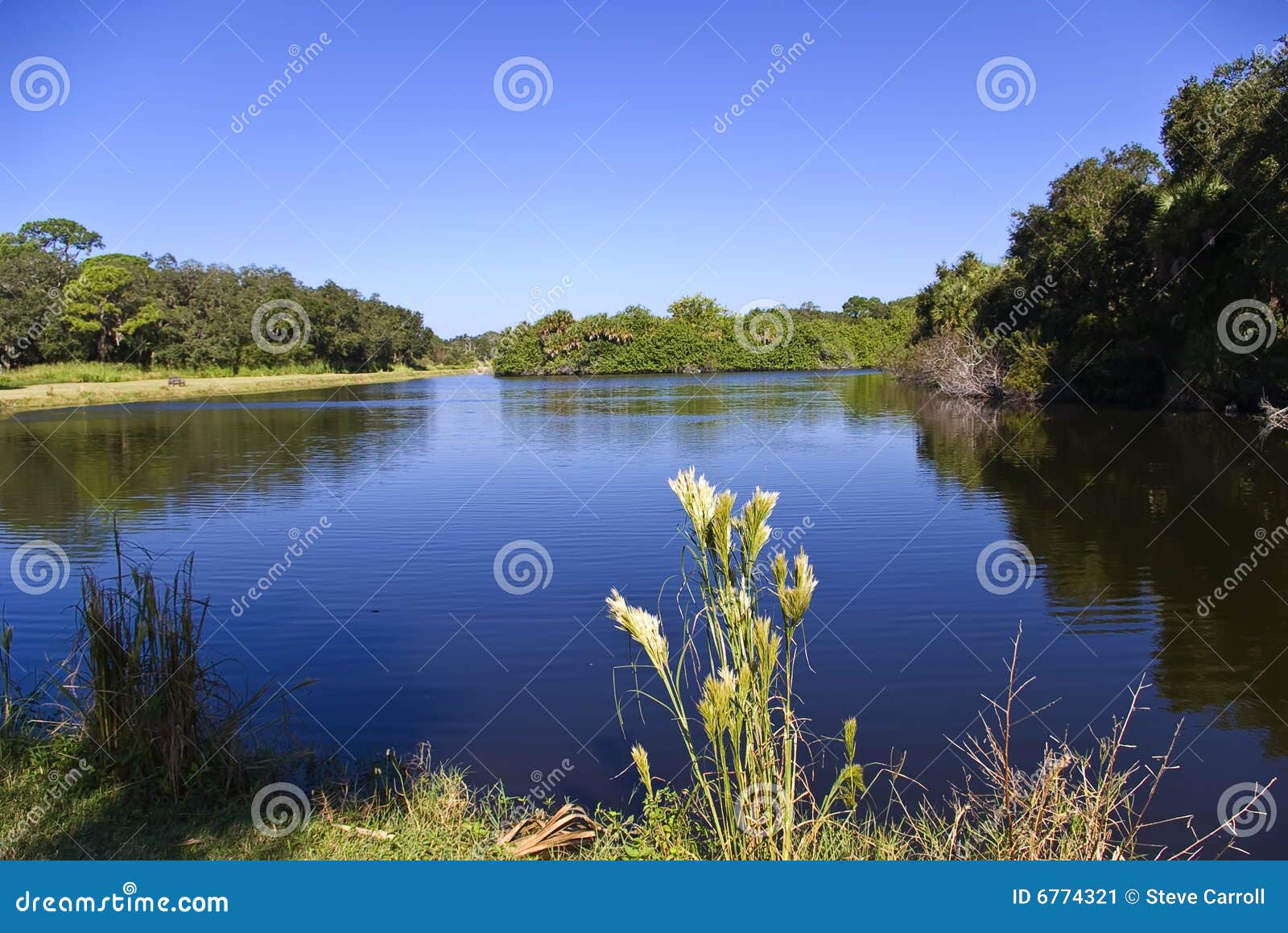 Pretty Lake Scene stock image. Image of water, pond, grass - 6774321