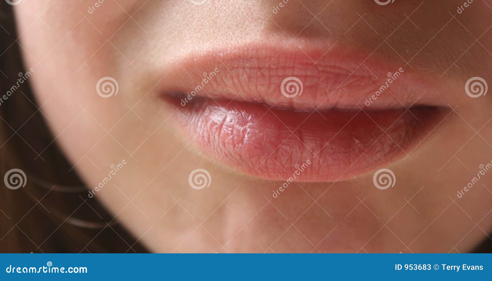 Pretty lips stock image. Image of pout, skin, natural, light - 953683