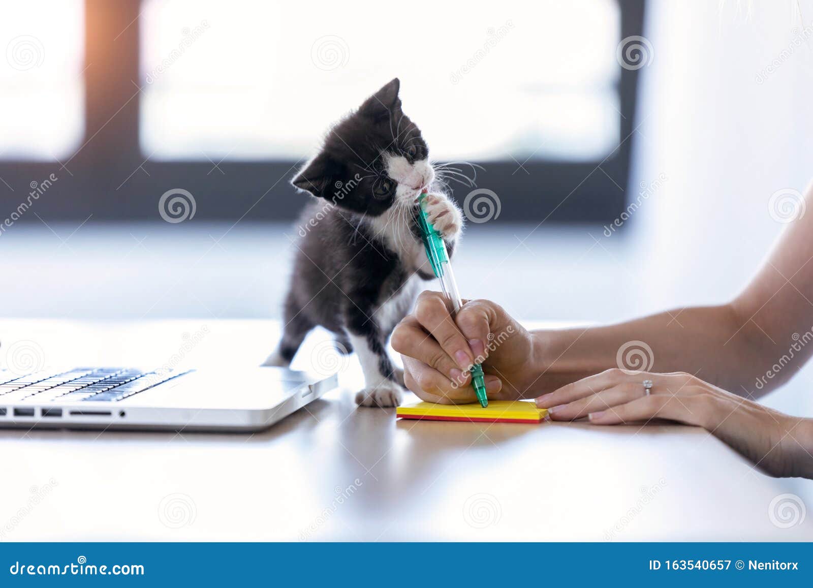 Biting Tip Stock Photos - Free & Royalty-Free Stock Photos from Dreamstime