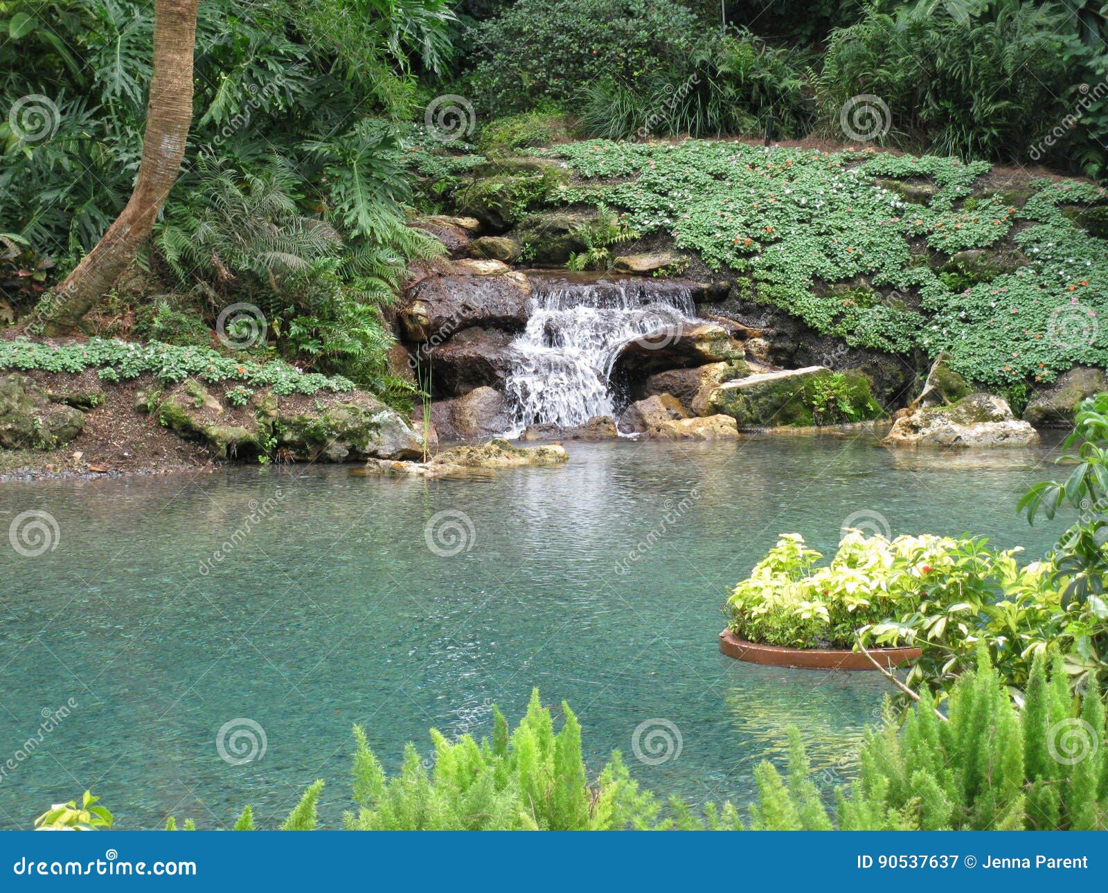 Pretty little river stock image. Image of cute, waterfall - 90537637