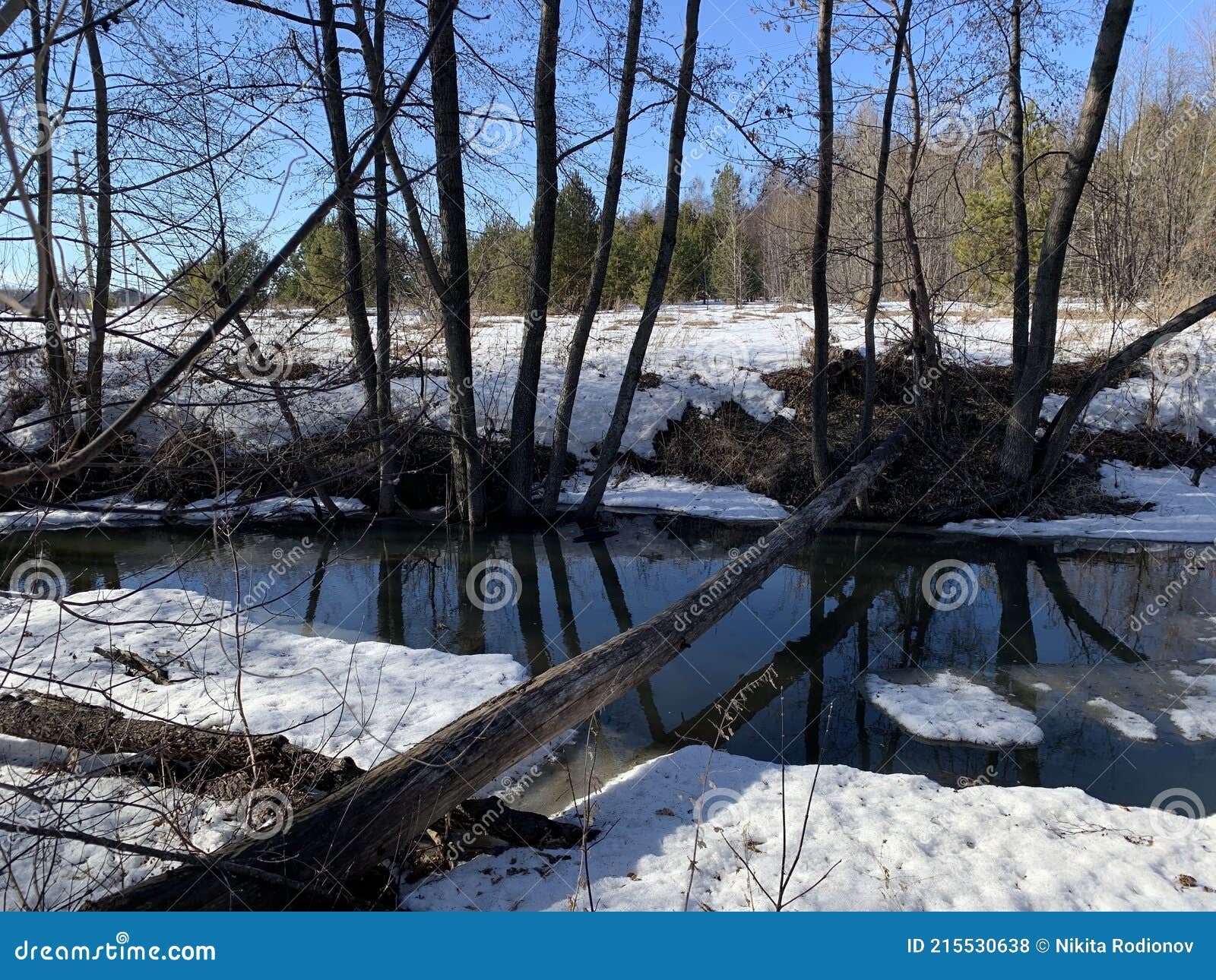 Pretty Little River in Spring Stock Photo - Image of flowing, pretty ...