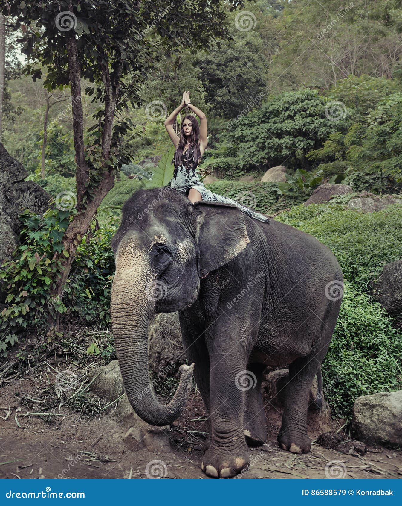 Pretty Model Riding on the Elephant Stock Image - Image of outdoor ...