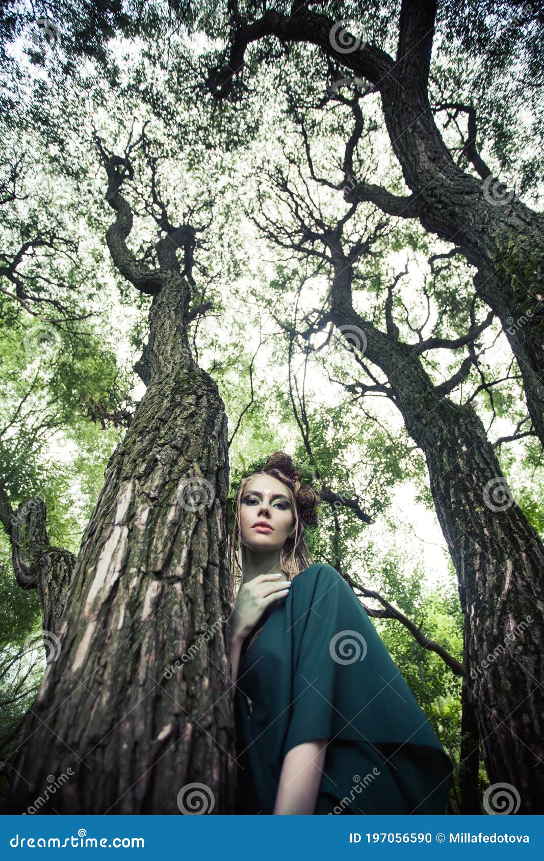 Pretty Nymph Woman in Forest Stock Photo - Image of health, concept ...