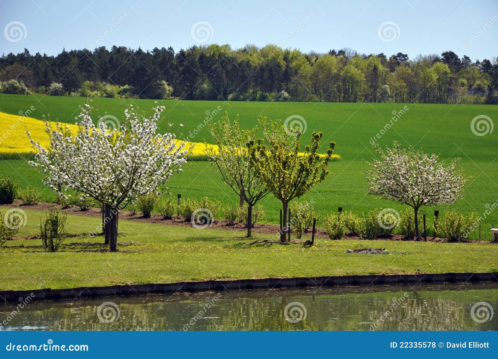 The pretty orchard stock photo. Image of exercise, colourful - 22335578