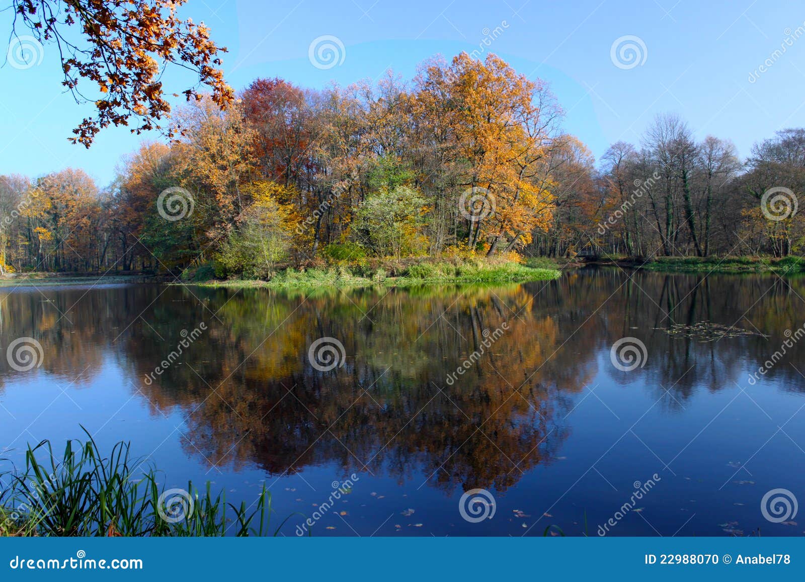 Pretty park stock photo. Image of green, polish, scenic - 22988070