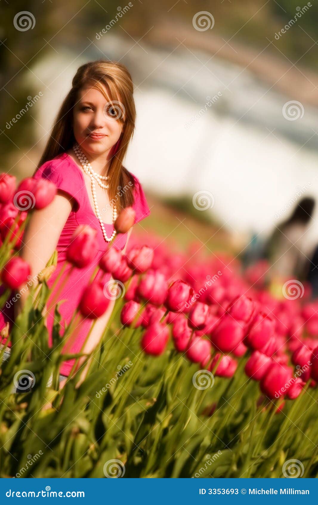 Pretty in Pink stock image. Image of inside, girl, leaves - 3353693