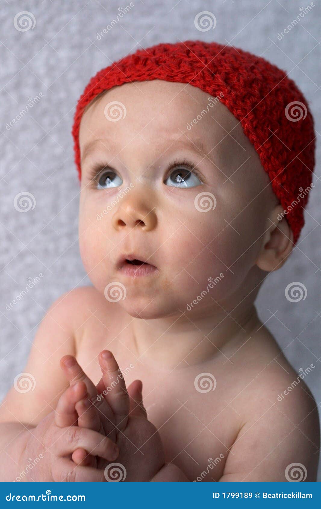 Pretty Please stock image. Image of fresh, infant, cookie - 1799189