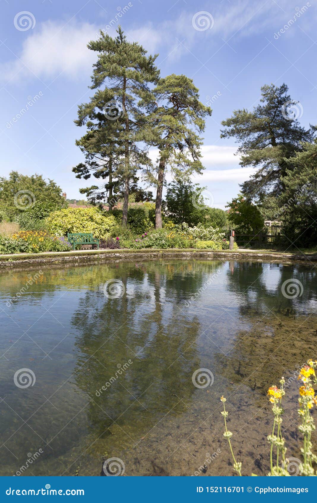 Pretty pond with trees stock image. Image of outdoor - 152116701