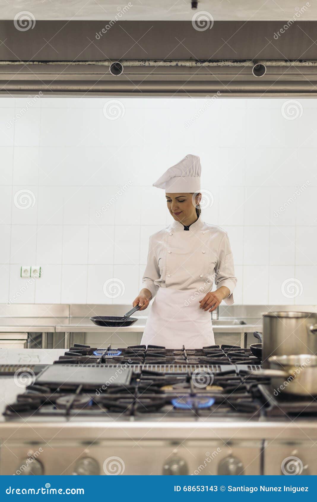 Pretty Professional Chef Cooking in a Kitchen. Stock Image - Image of ...
