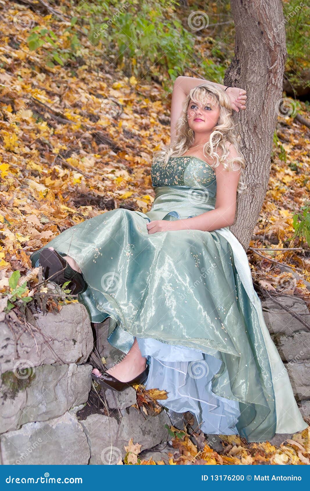 Pretty prom girl stock photo. Image of hair, blond, portrait - 13176200