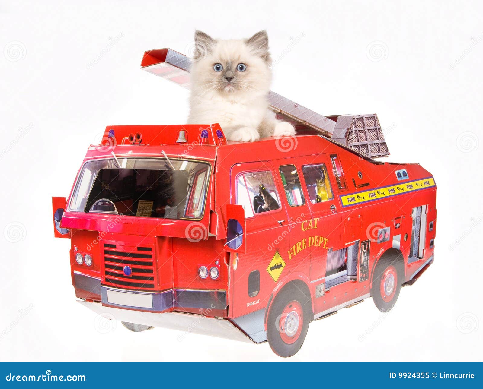 Cat Firetruck Stock Photos - Free & Royalty-Free Stock Photos from ...