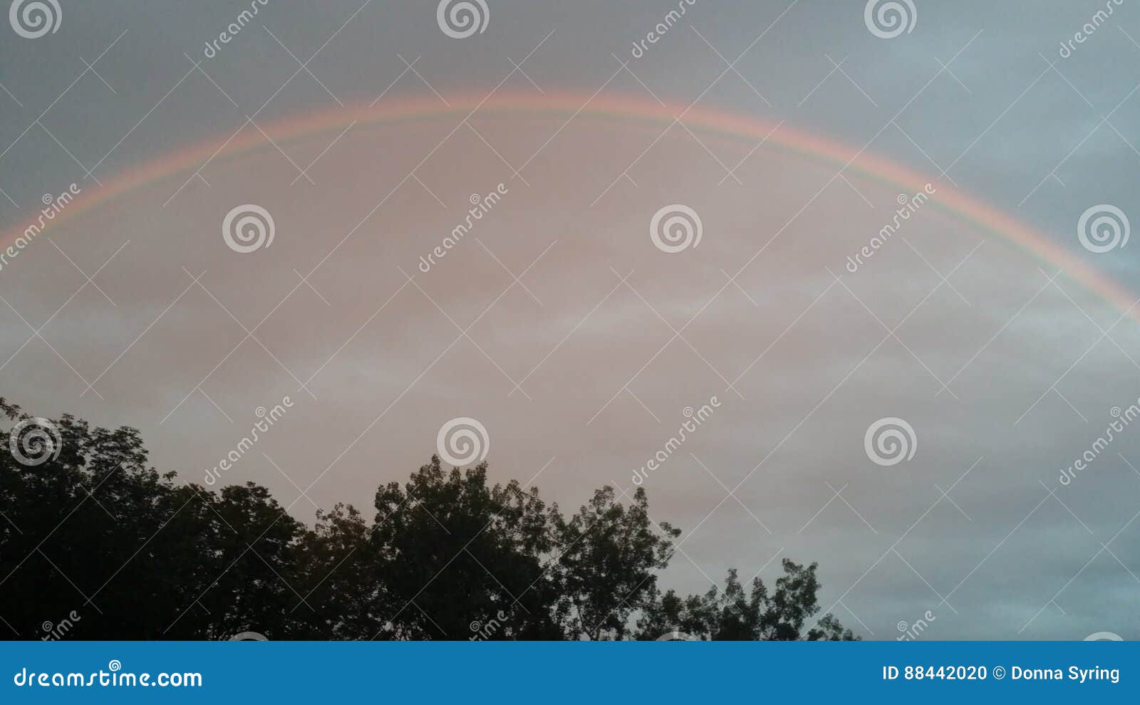 Pretty rainbow after rain stock photo. Image of rainfall - 88442020